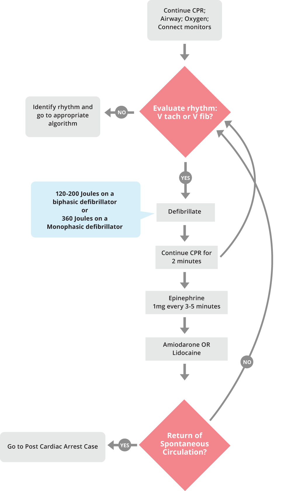 Adult Cardiac Arrest VTach and VFib - ACLS Medical Training