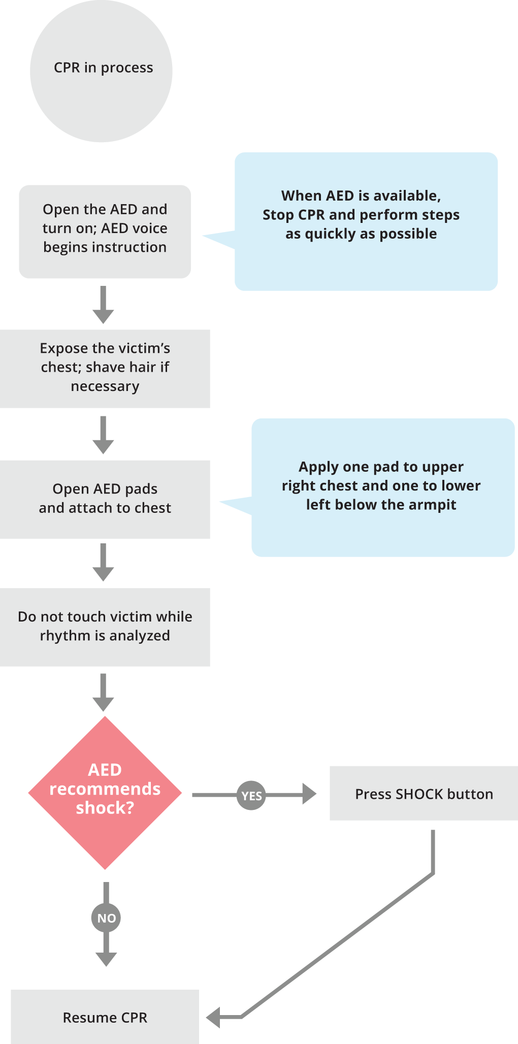AED Algorithm - ACLS Medical Training