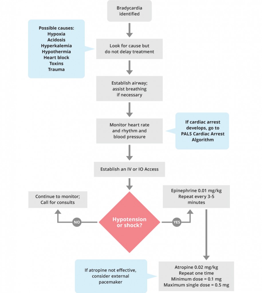 PALS - Well to Excel