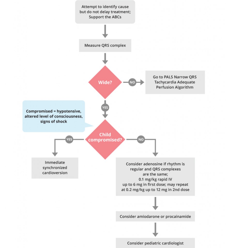 PALS - Well to Excel