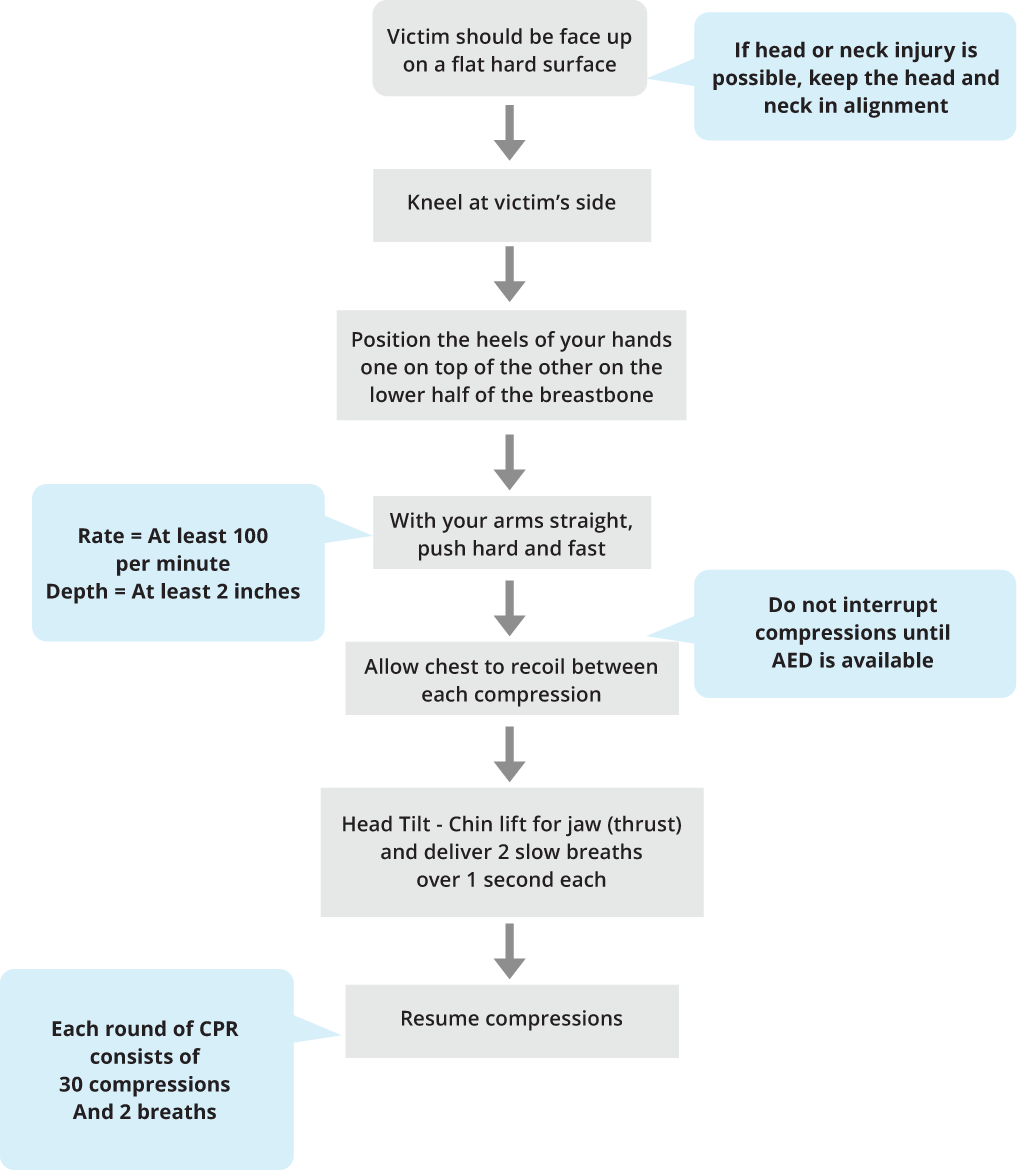 BLS CPR Algorithm - ACLS Medical Training BLS CPR Algorithm - ACLS Medical Training
