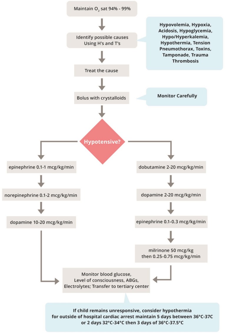 PALS Management of Shock after Resuscitation - ACLS Medical Training
