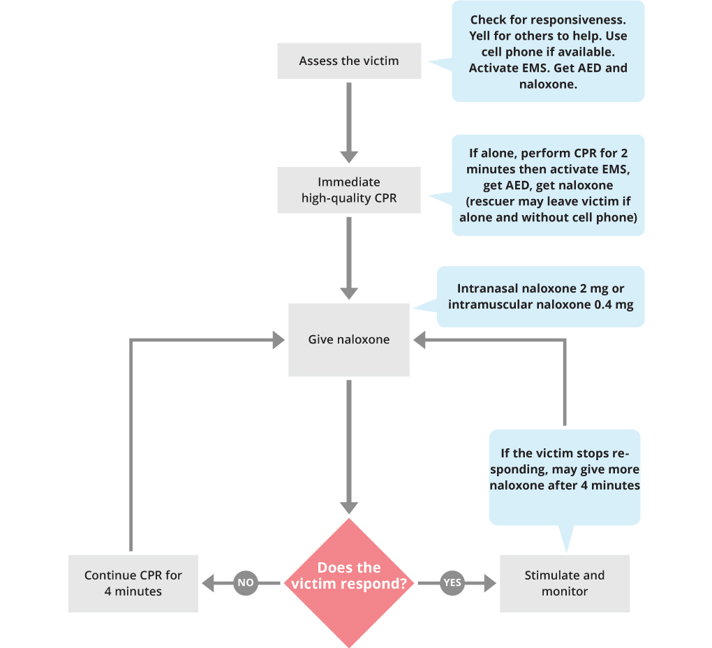 BLS Suspected Opioid Overdose Algorithm - ACLS Medical Training BLS Suspected Opioid Overdose Algorithm - ACLS Medical Training